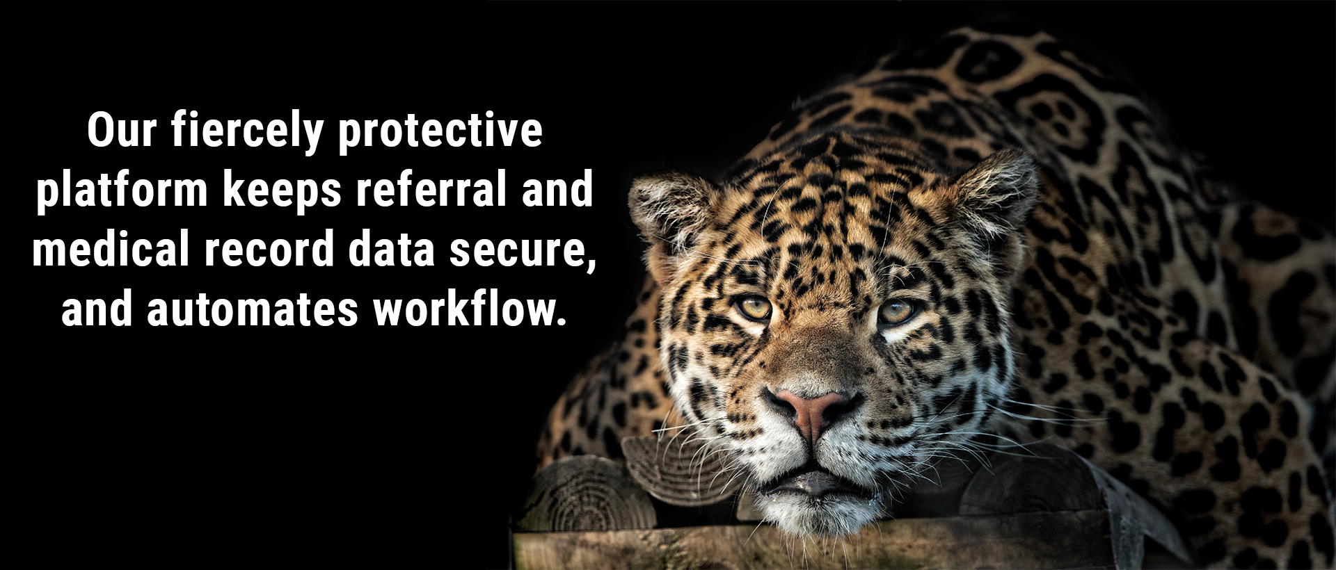 ExamWorks|Independent Medical Examinations, Peer Reviews, Bill Reviews