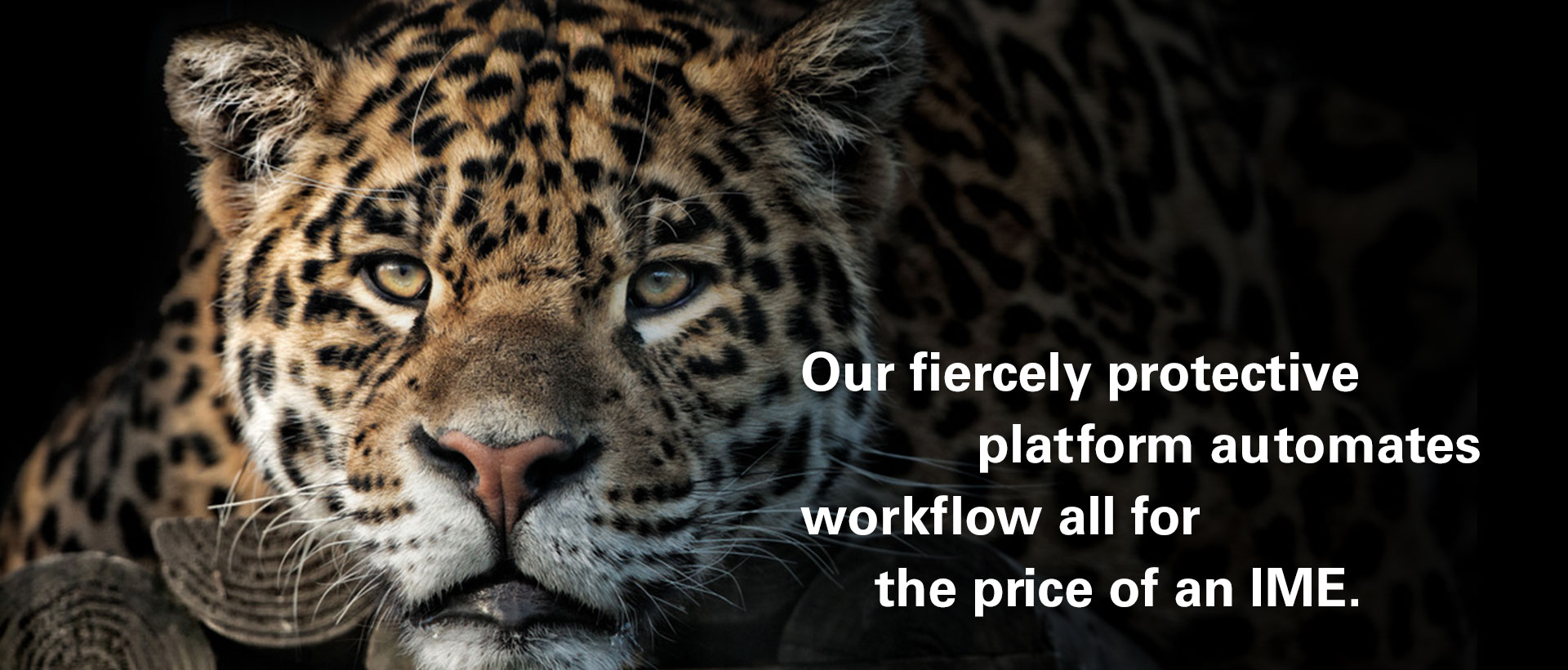 ExamWorks|Independent Medical Examinations, Peer Reviews, Bill Reviews